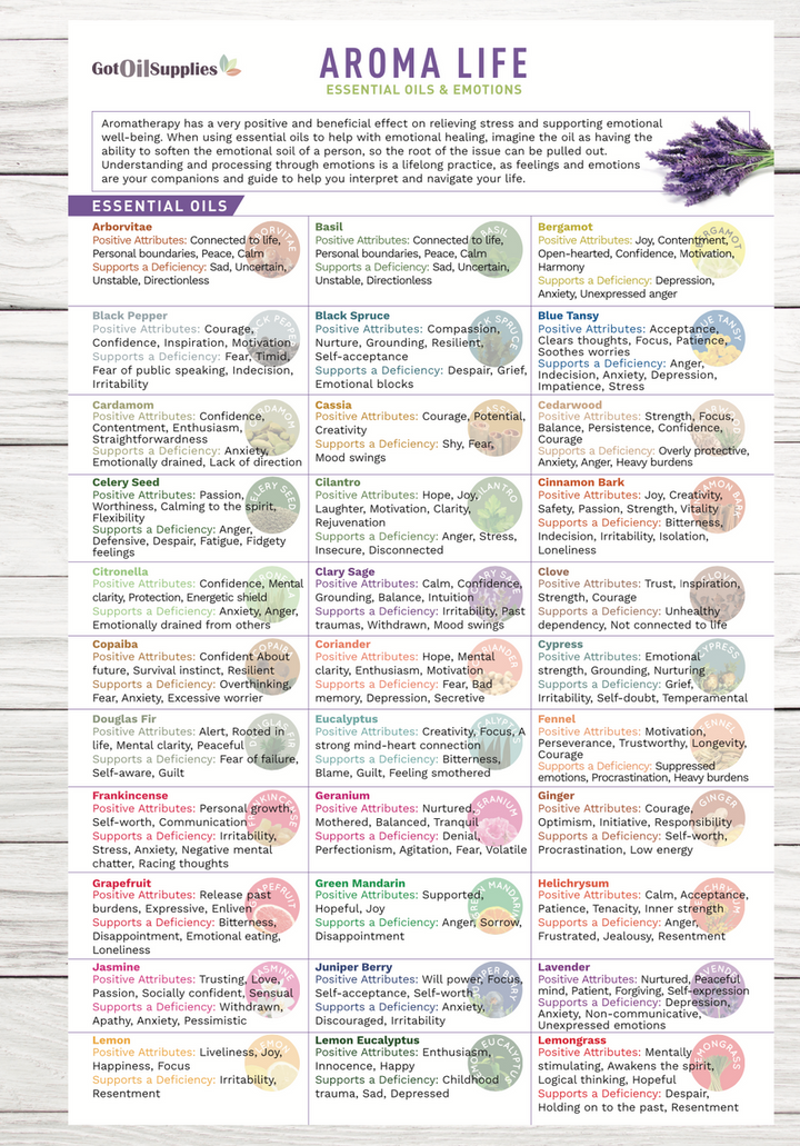 Essential Oil Resource Cards | Information Rack Card For Aromatherapy ...